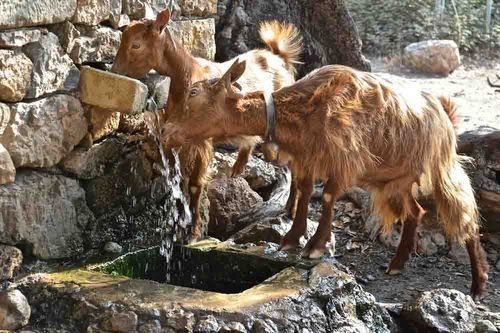 Lissos Crete's lost ancient city